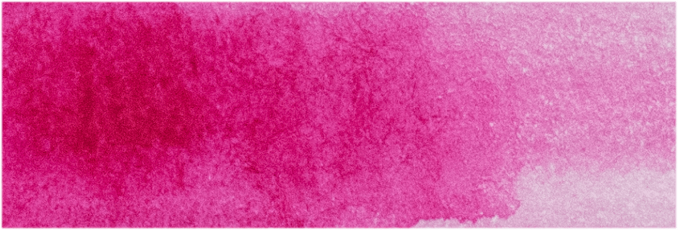 W220 Opera Rose | Michael Harding