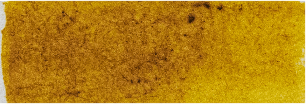 W229 New Gamboge | Michael Harding