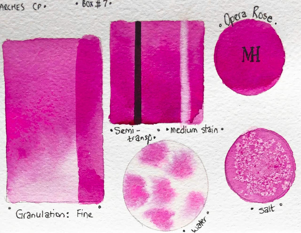 W220 Opera Rose | Michael Harding