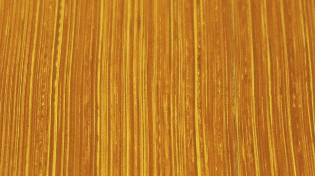 NEW | New Gamboge (No. 244) - Michael Harding